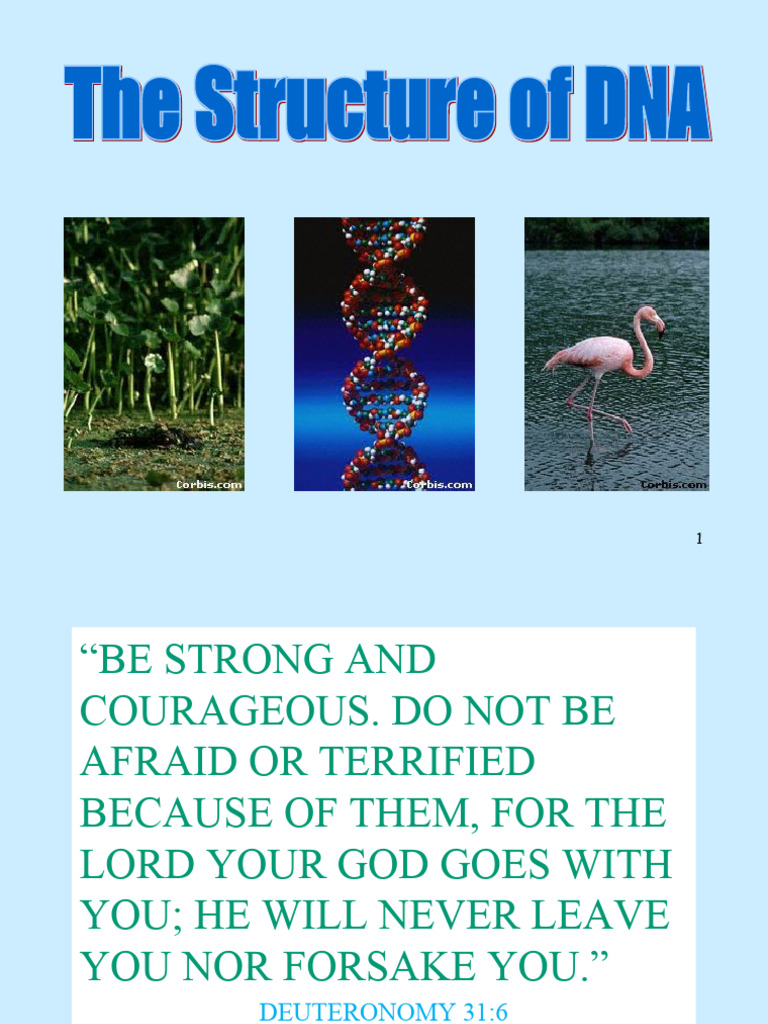 BIOTECH Quarter 2 | PDF