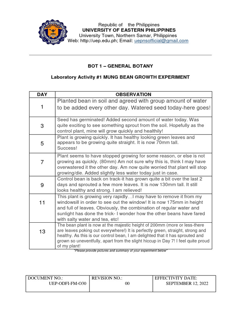 Mung Bean Growth Experiment Akon Ine Ha! | PDF | Bean | Plants