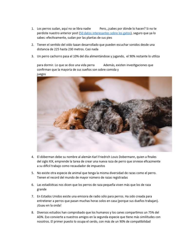 Curiosidades de Los Perros | PDF