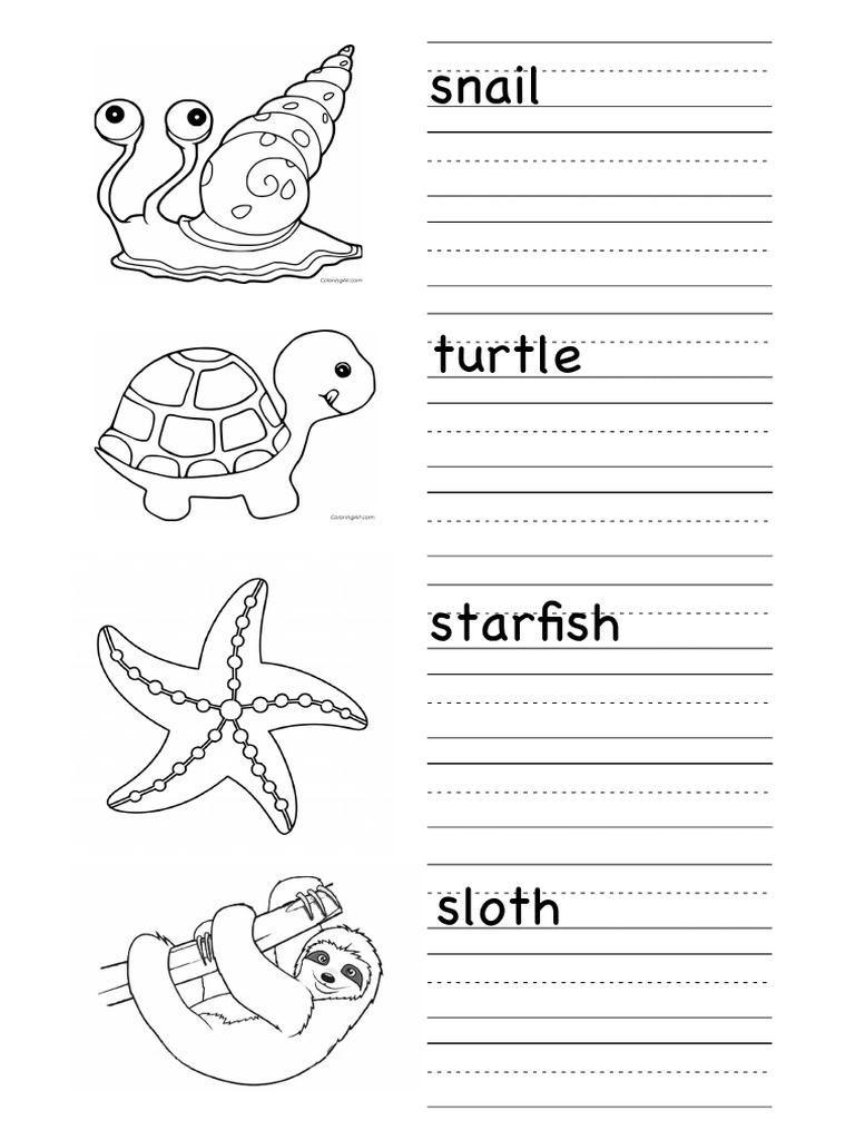 Worksheets - Fast and Slow Animals | PDF