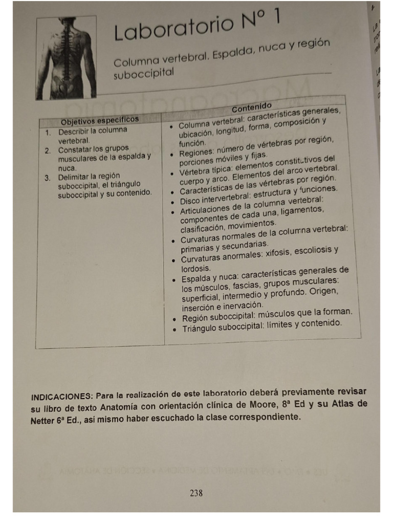 Laboratorio Macro #1 Anatomia I | PDF