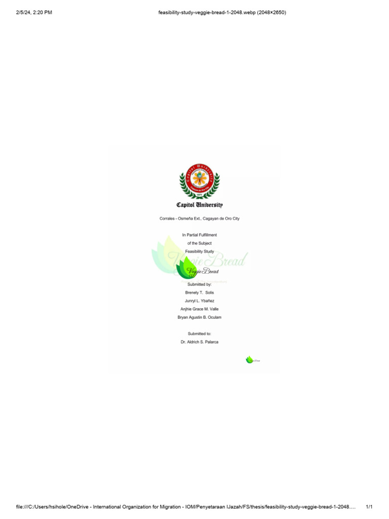 Feasibility Study Veggie Bread | PDF