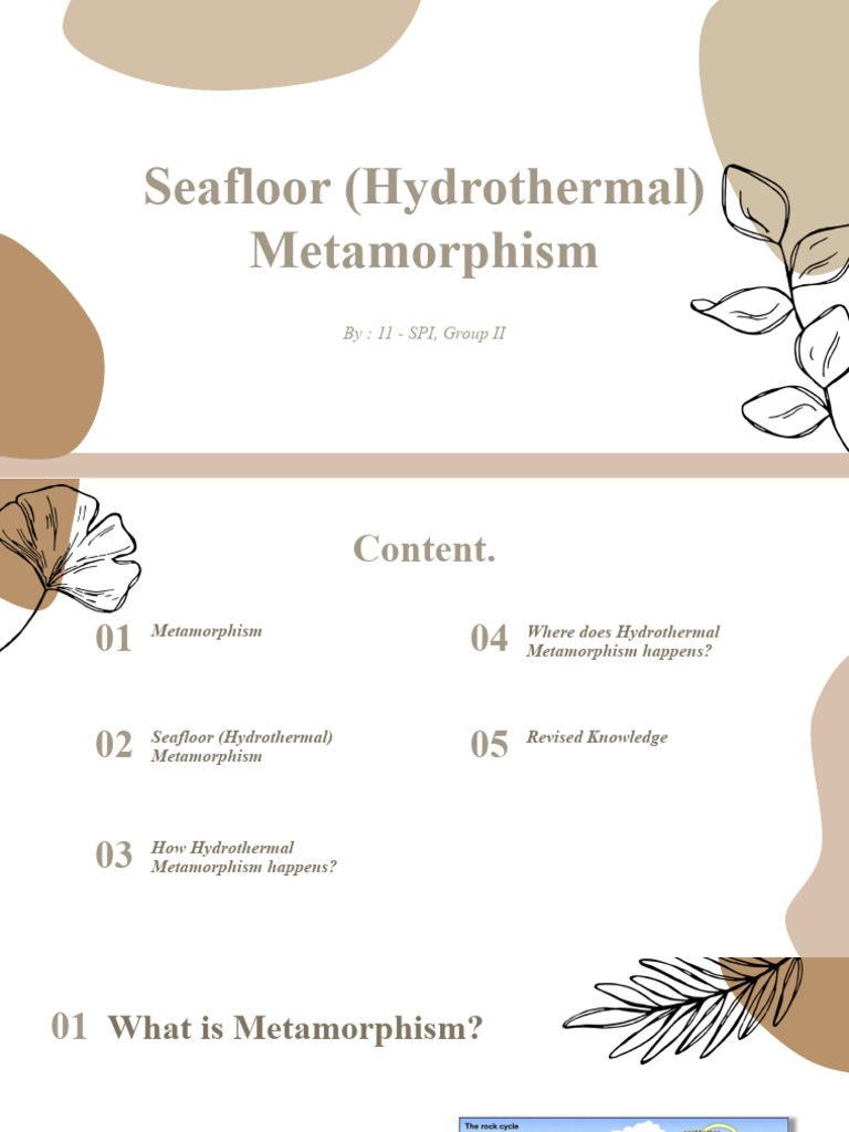 Earth Sci - Seafloor (Hydrothermal) Metamorphism | PDF | Rock (Geology ...