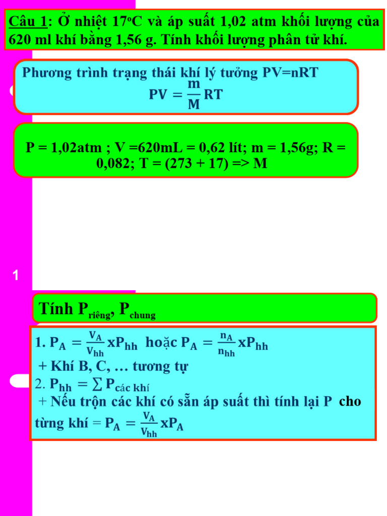 On Thi CK Online | PDF