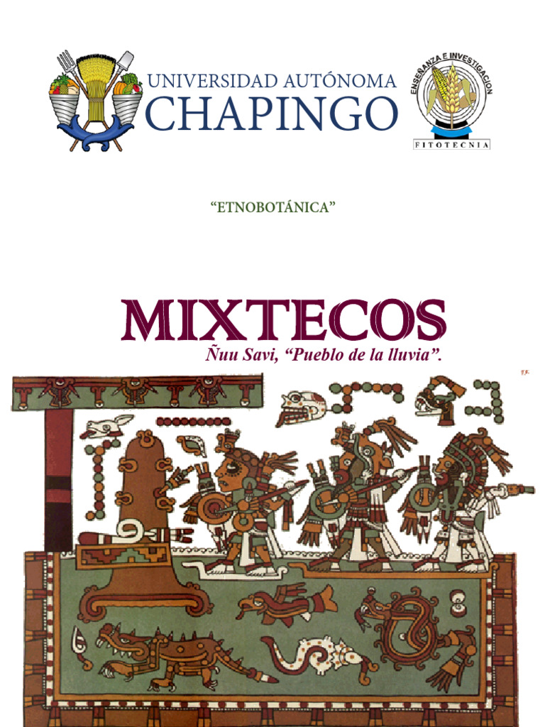 Cultura Mixteca: Historia y Tradiciones | PDF | Mesoamérica | México
