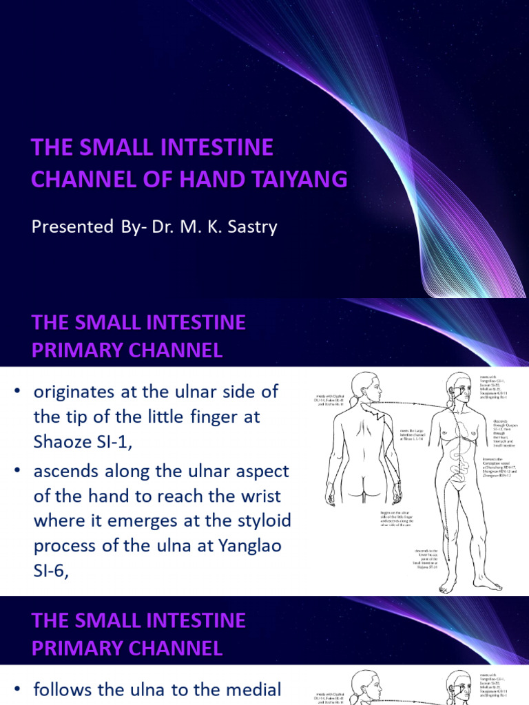 The Small Intestine Channel of Hand Taiyang | PDF | Elbow | Shoulder