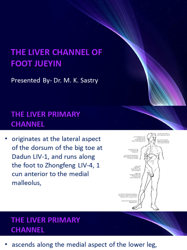 12 - The Liver Channel of Foot Jueyin | Download Free PDF | Knee | Abdomen