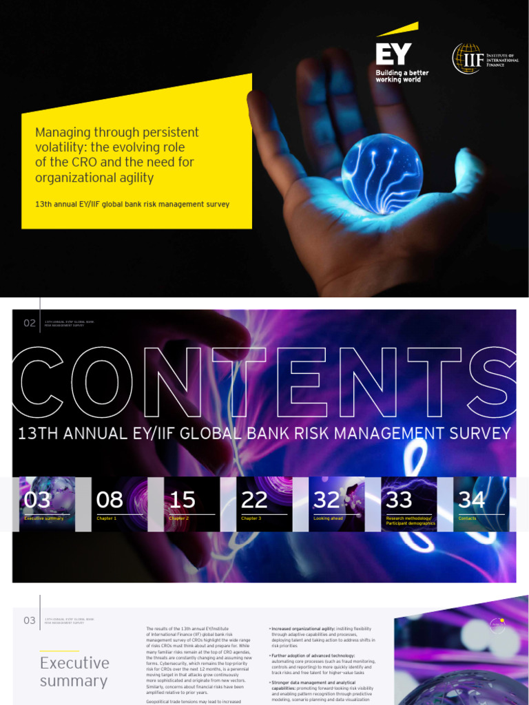 Ey Iif Bank Risk Management Survey | PDF | Risk | Risk Management