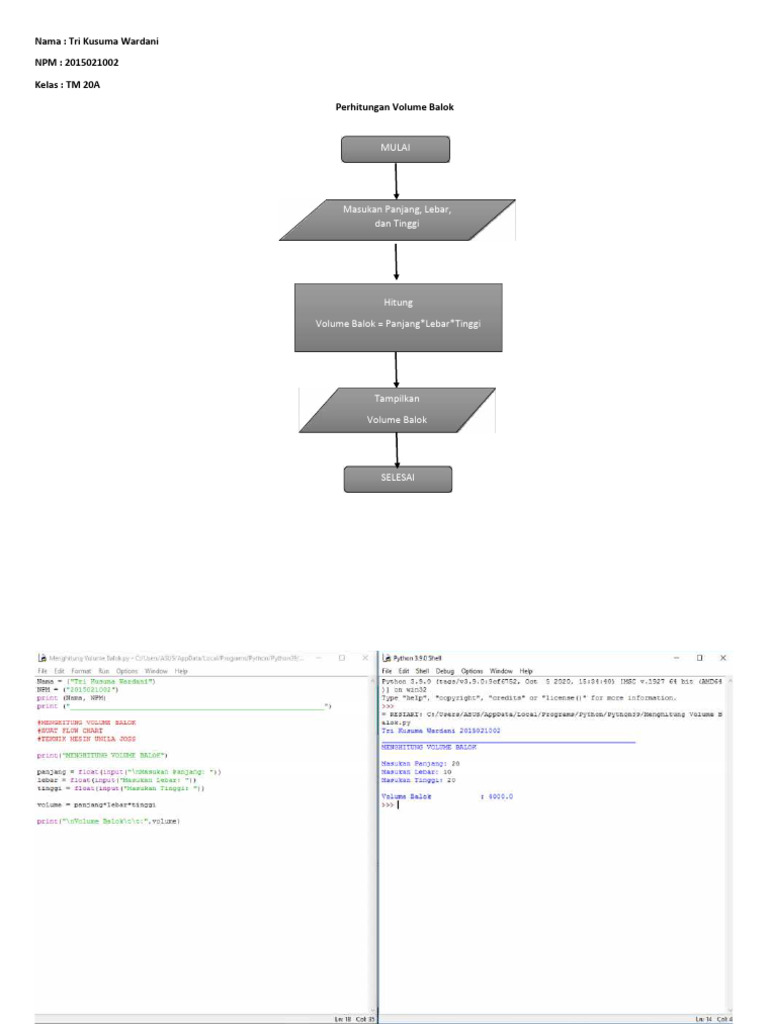 Tugas Flow Chart And Coding Tri Kusuma Wardani Pdf