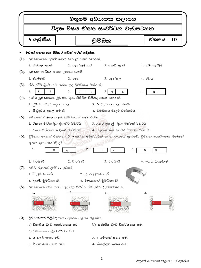 Magnet Grade 6 | PDF