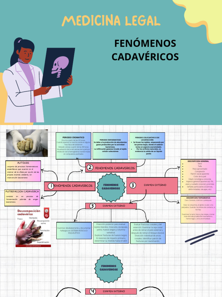 Fenómenos Cadavericos | PDF | Hueso | Descomposición