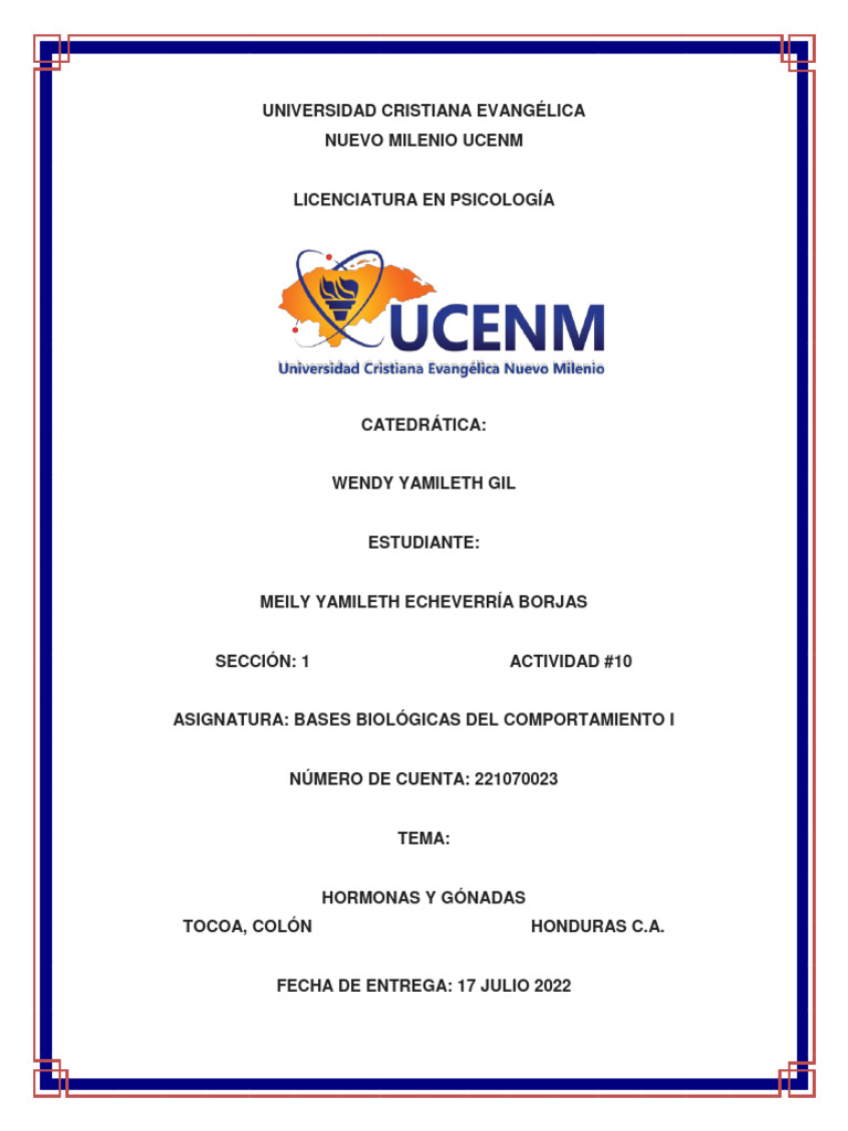 Echeverría Meily U5 Resumen | PDF