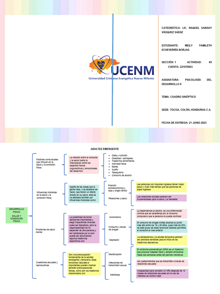 Echeverría M U3 Cuadro Sinóptico | PDF | Adultos | Depresión (estado de ánimo)