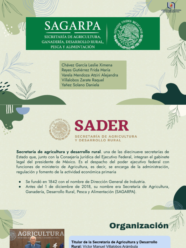 Secretaria de Agricultura Ganaderia Desarrollo Rural Pesca y ...