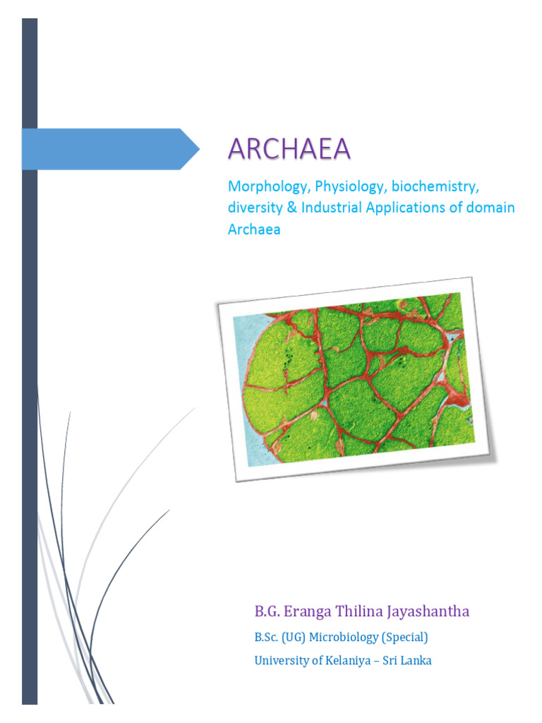 Domain Archaea Morphology Physiology Bio | PDF | Archaea | Virus