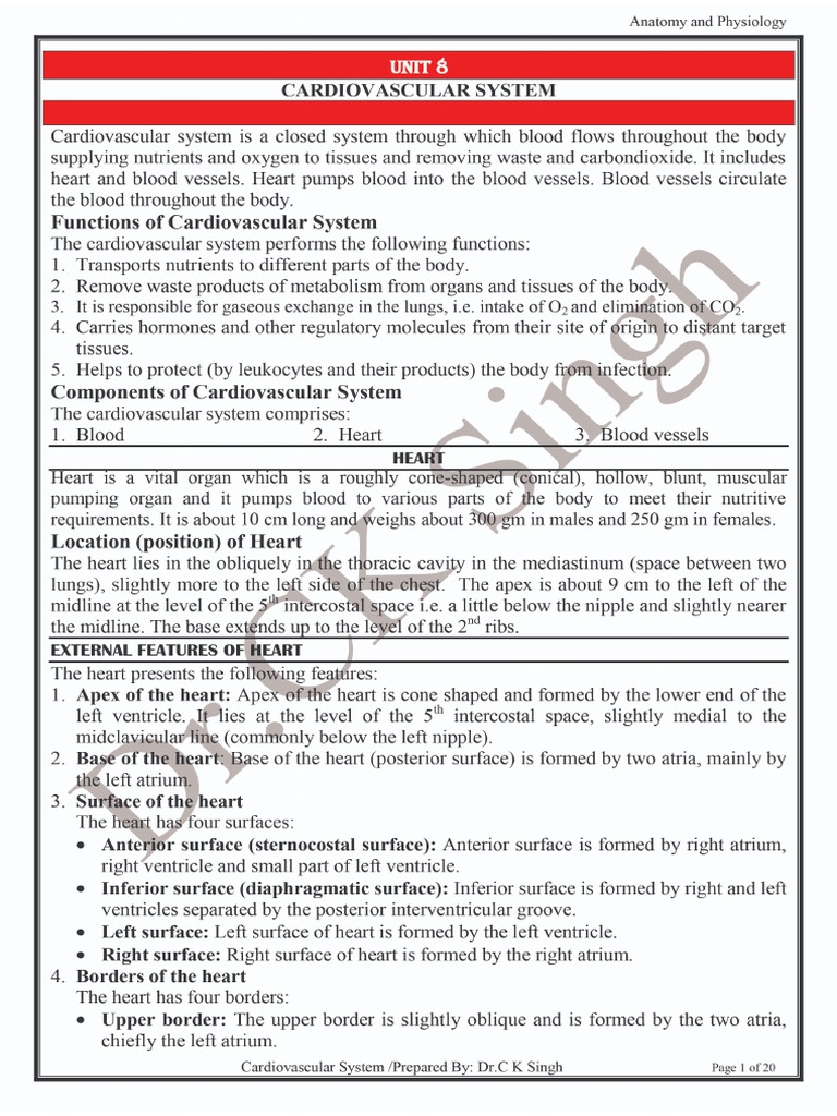8.Cardiovascular System | PDF