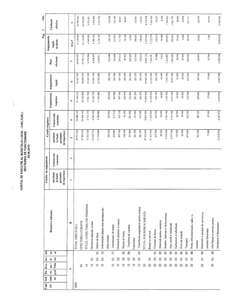 Bilant iunieII 2019 | PDF