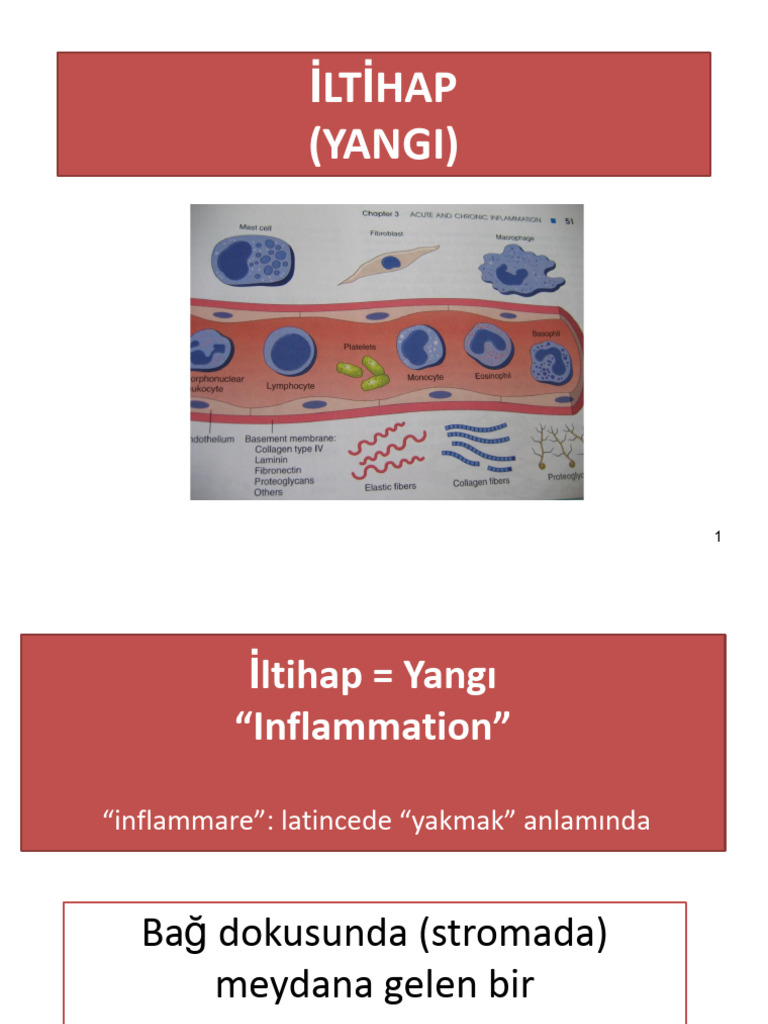 İltihap 1 | PDF