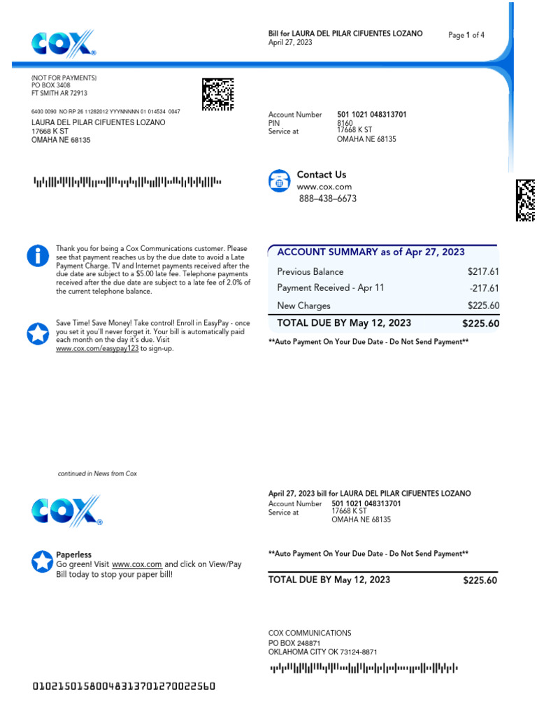 PDF Billing Statement | PDF | Cheque | Fee