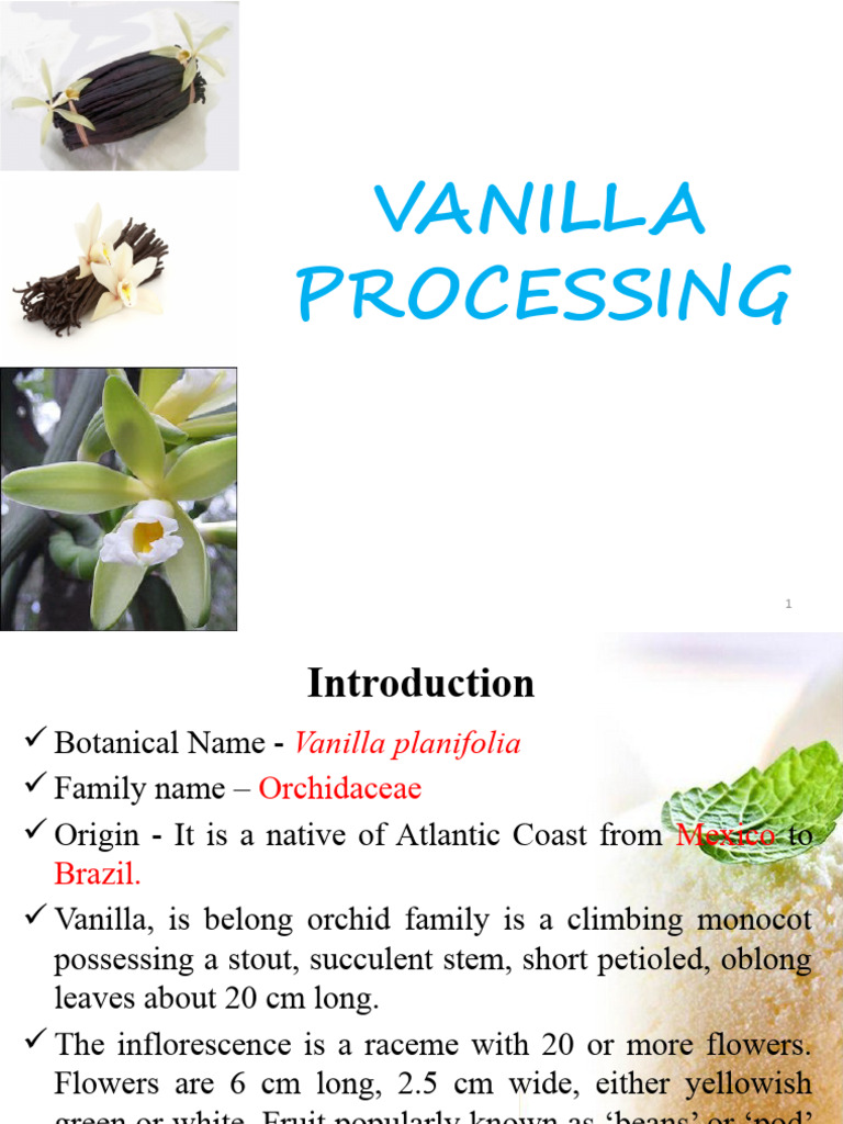 Vanilla | PDF | Vanilla