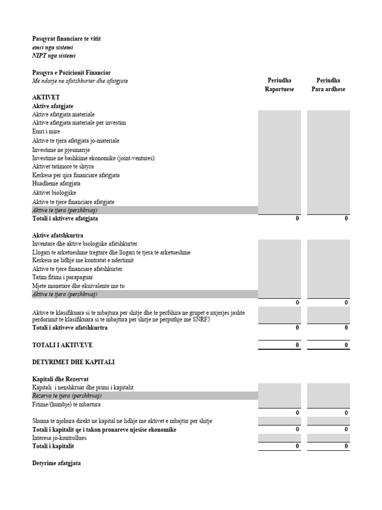 Pasqyra e Pozicionit Financiar - xlsx2!8!2024 | PDF