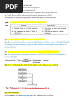 Nutrition in Plants Class 7 Worksheet Science Chapter 1 | PDF