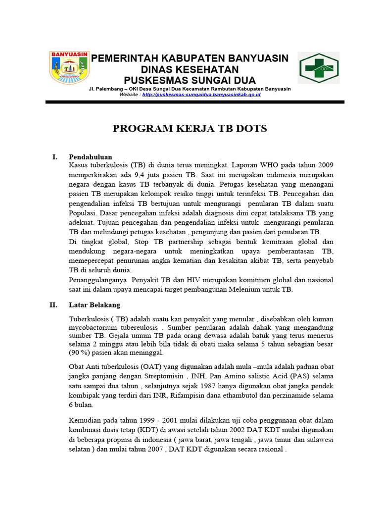 4412 Program Kerja TB DOTS | PDF