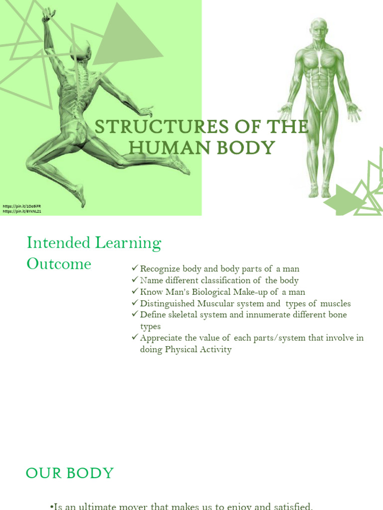 Structure of Human Body | PDF | Bone | Skeleton