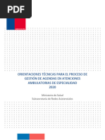 Orientación Tecnica SAPU 2020 | PDF | Medicina CLINICA | Especialidades Medicas