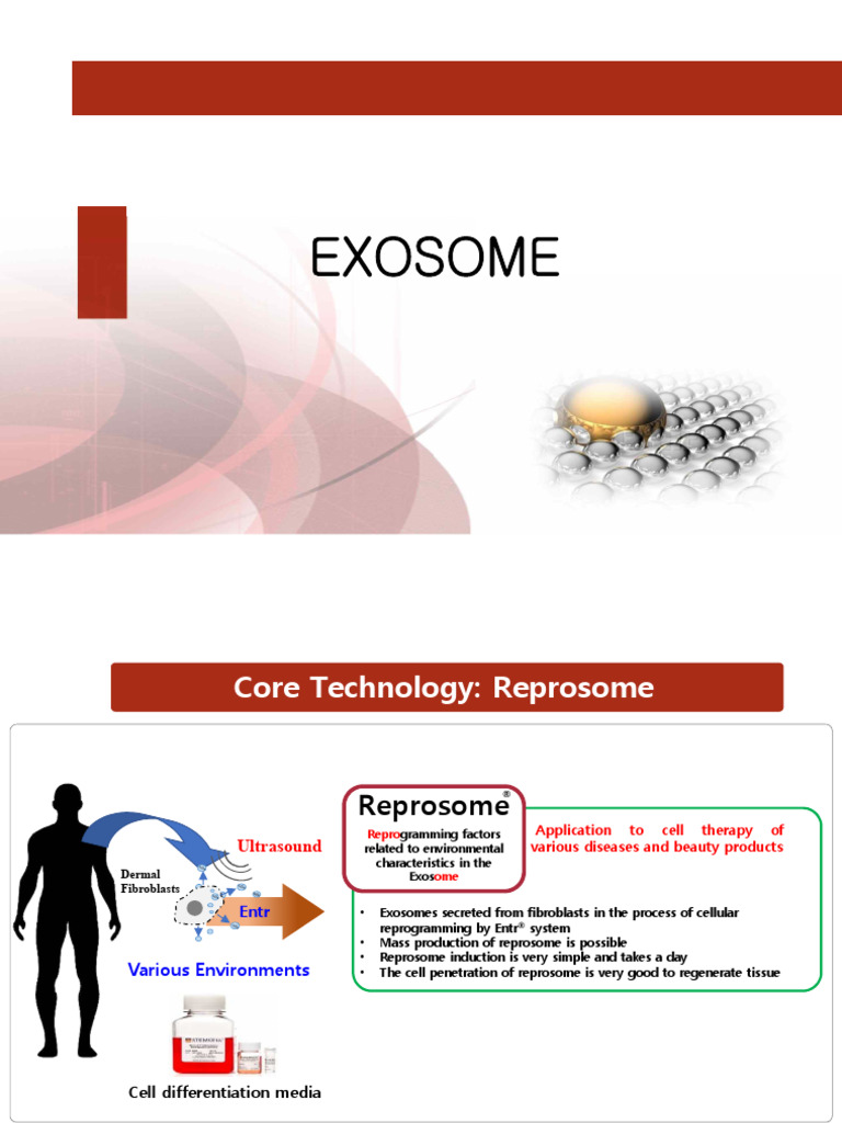 EXOSOME Presentation | PDF | Regeneration (Biology) | Adipose Tissue
