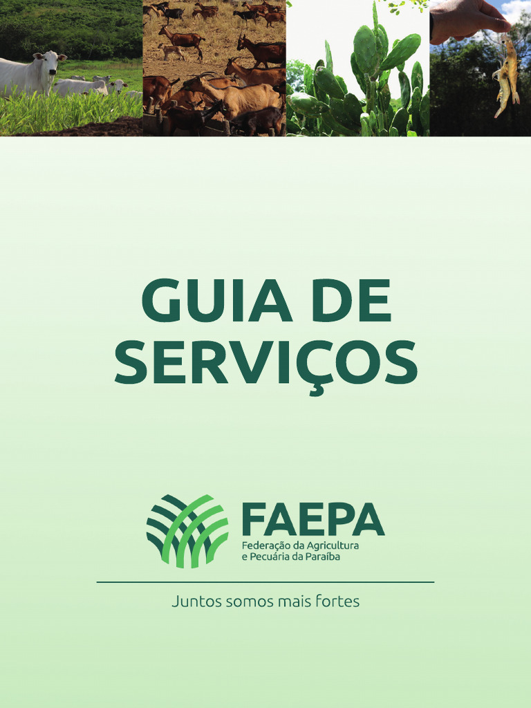 Cartilha Faepa - Corrigida | PDF