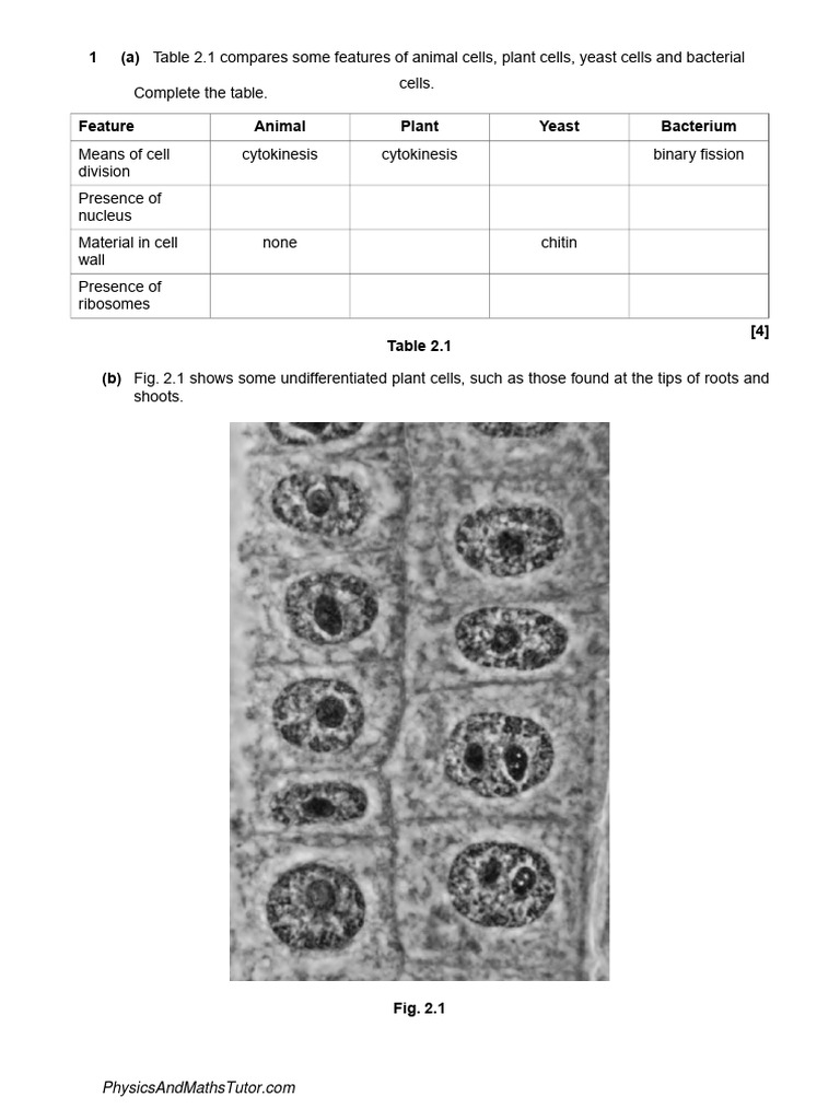 Cell Division, Cell Diversity & Cellular Organisation 1 QP | PDF ...