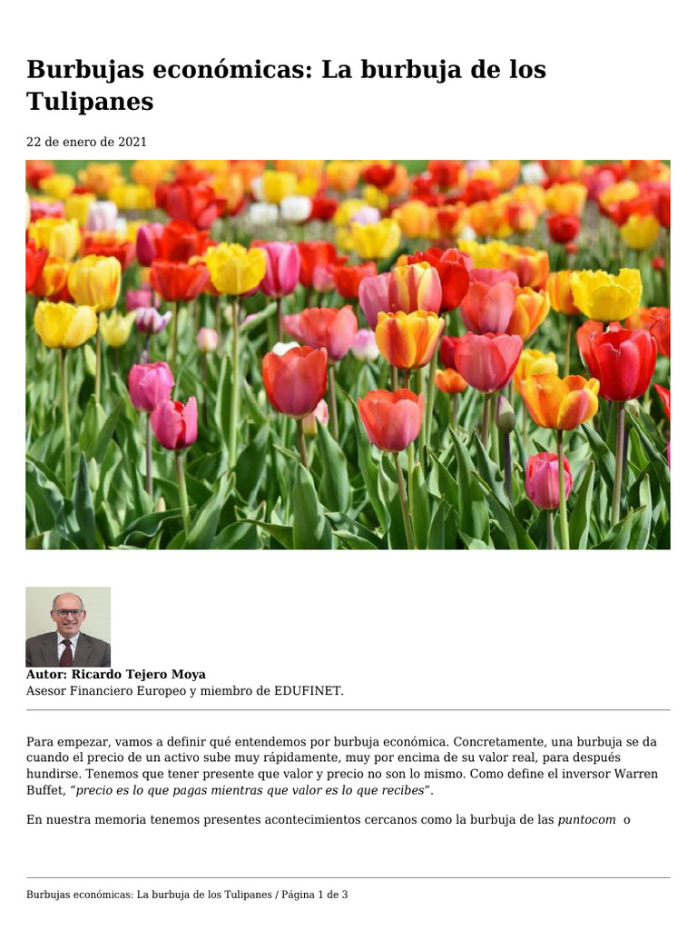 Burbujas Economicas La Burbuja de Los Tulipanes | PDF | Burbuja económica | Tulipán