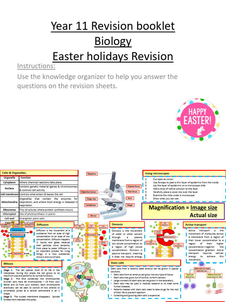 Year 11 Biology Revision Guide | PDF | Artery | Cell (Biology)