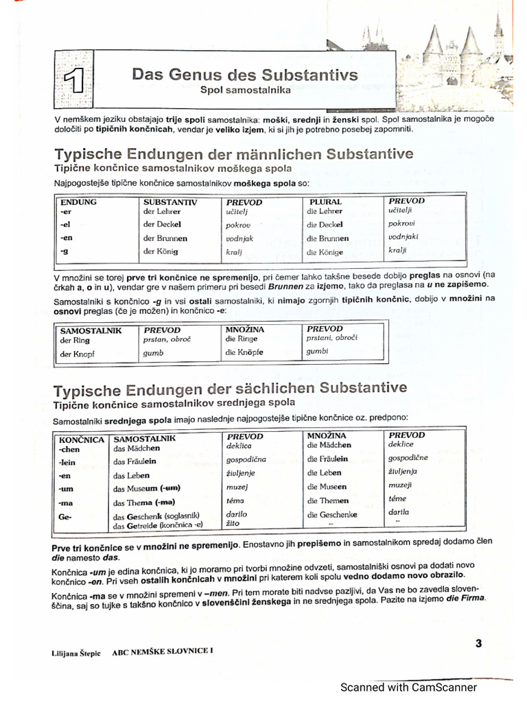 Das Genus Des Substantivs | PDF