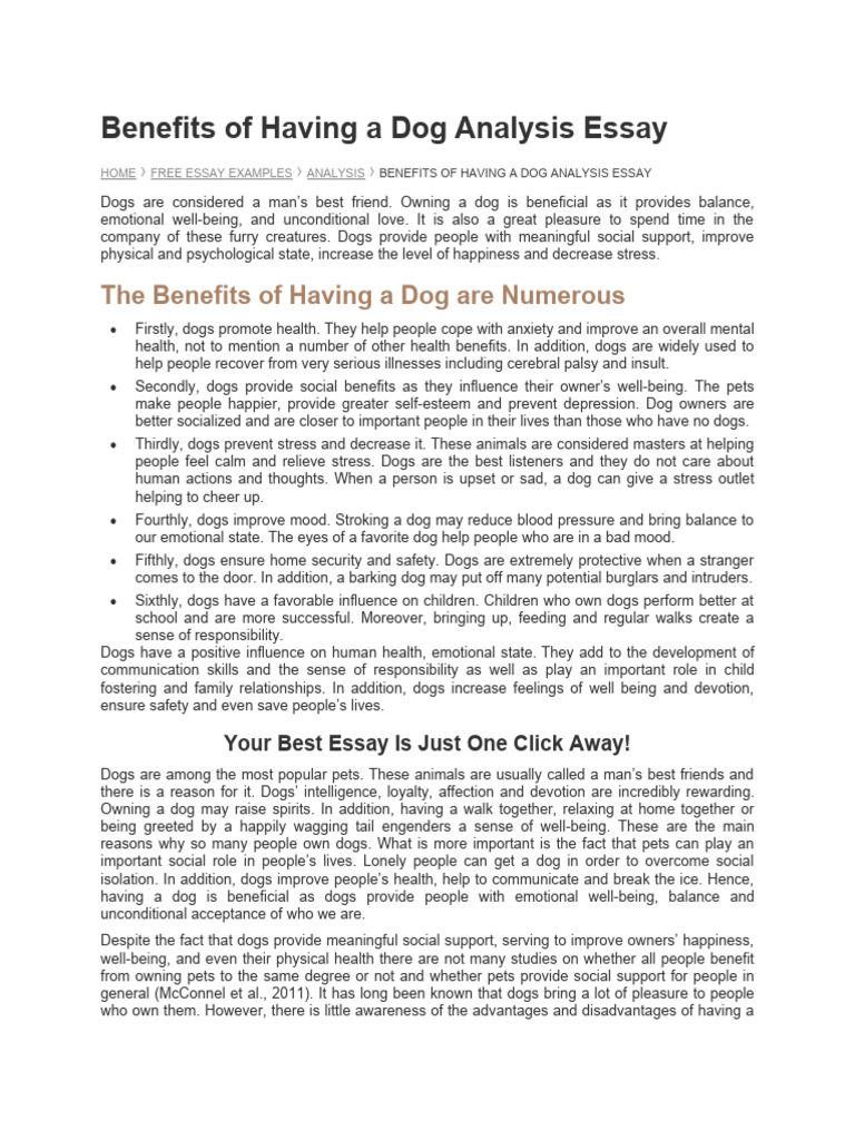 Benefits of Having A Dog Analysis Essay | PDF | Dogs | Pet