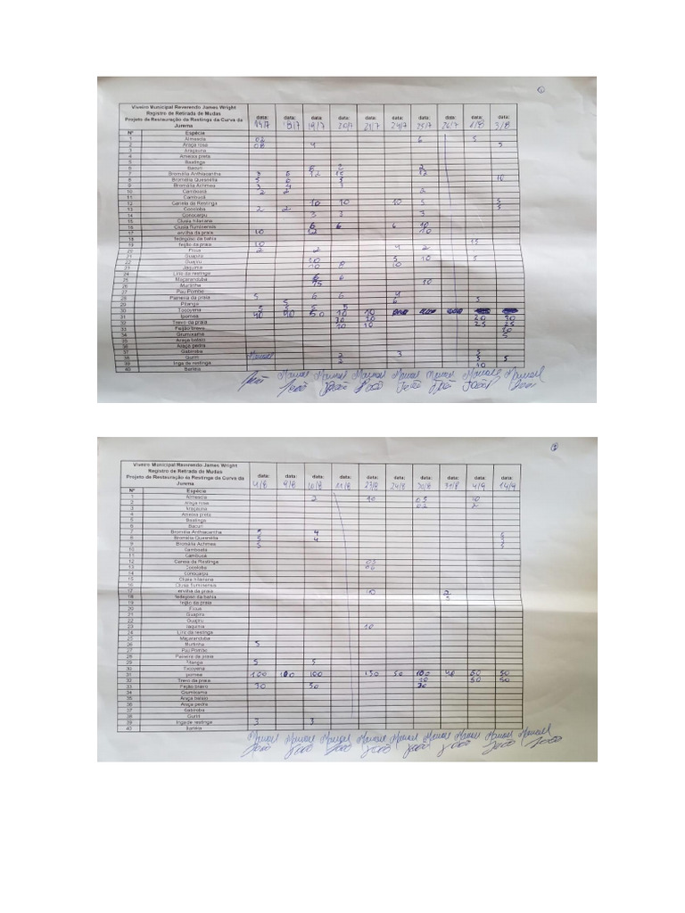 Anexo 1 - Controle de Retirada de Mudas PMV | PDF
