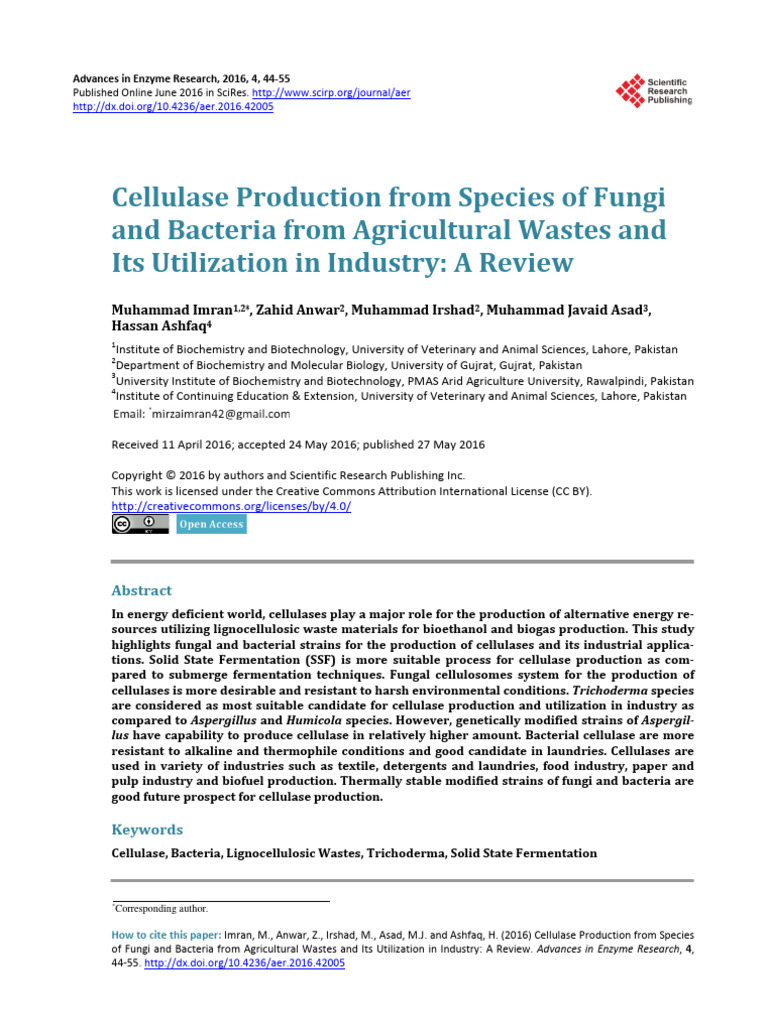 Cellulase Production From Species of Fungi | PDF | Cellulose | Chemistry