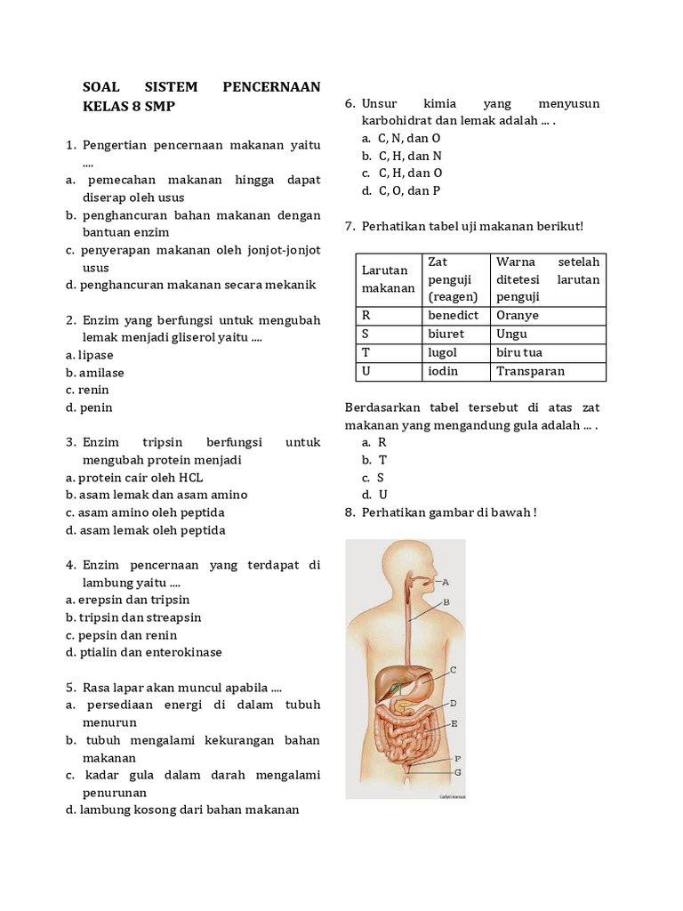 Latsoal Sistem Pencernaan Kelas 8 | PDF