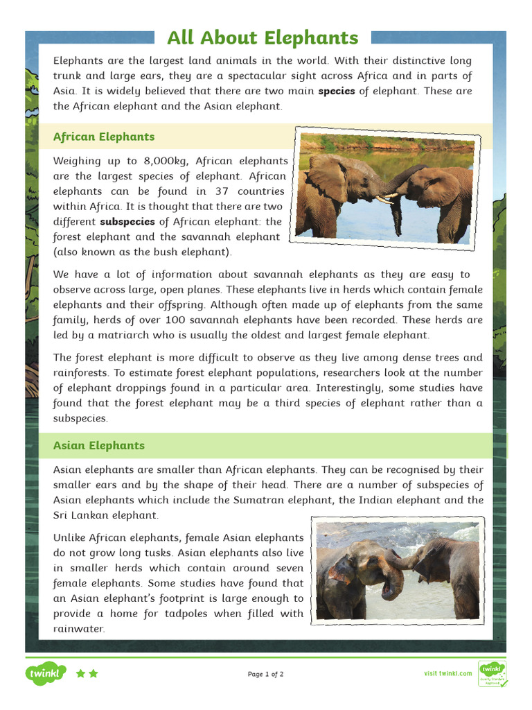 All About Elephants | PDF | Elephant | Ivory