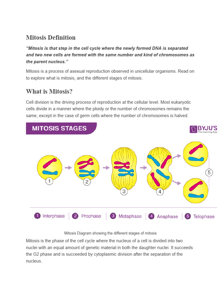 Mitosis Definition Cellular Division: Mitosis And Meiosis (Video