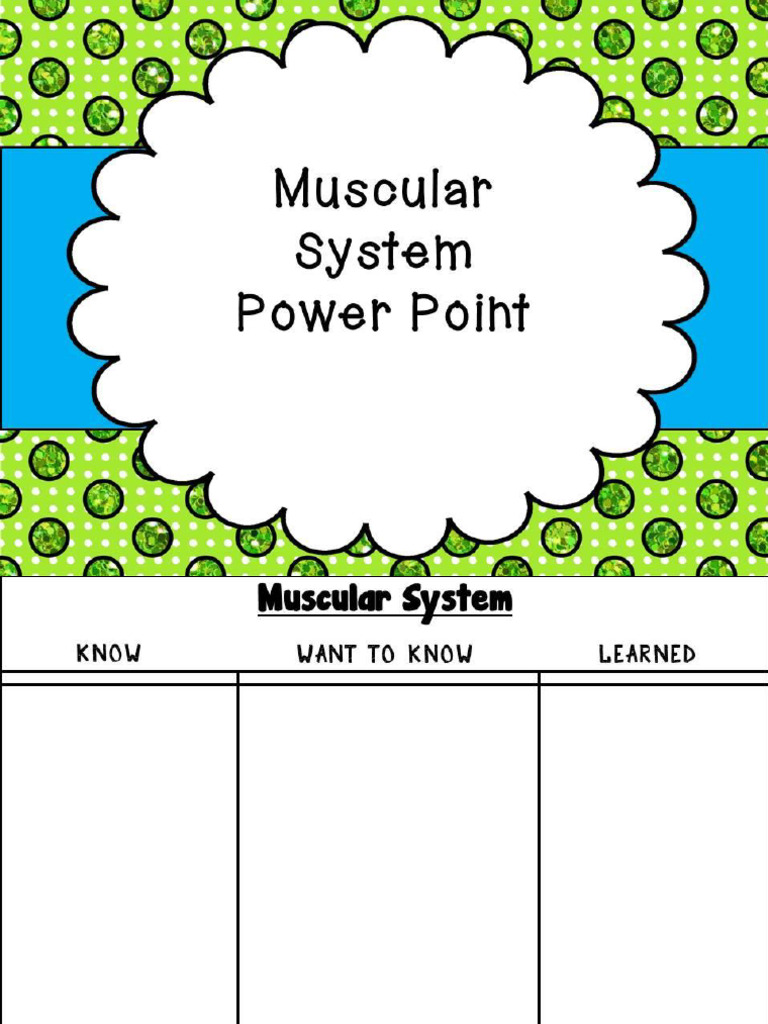 Final Muscular System PPT BEST with highlights | PDF