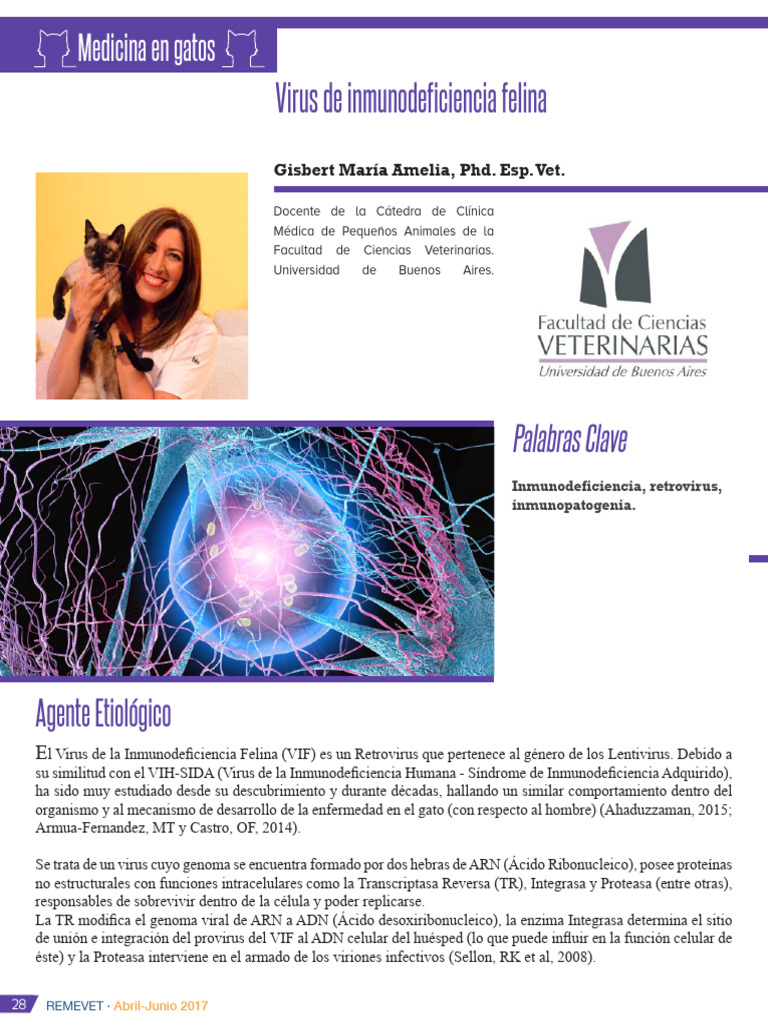 Fases de la Inmunodeficiencia Felina | PDF | Virus | Retrovirus