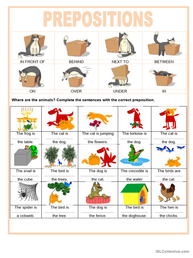 Prepositions - Where Are The Animals | PDF | Home & Garden | Science ...