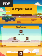 Ava'S - Amazon Rainforest Brochure | PDF | Amazon Rainforest | Trees
