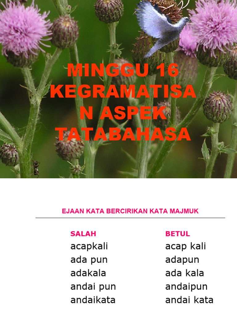 M13.Kegramatisan Aspek Tatabahasa. | PDF