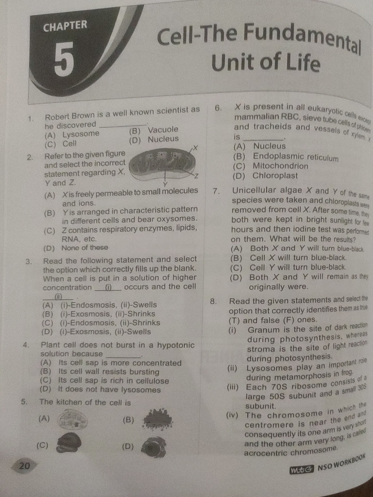 Cell-The Fundamental Unit of Life (NSO), Class 9 | PDF Cell-The Fundamental Unit of Life (NSO), Class 9 | PDF
