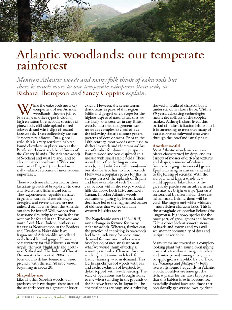 p8 Atlantic Woods | PDF | Trees | Botany