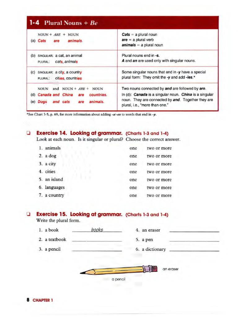 1 - Basic English Grammar-1 | PDF | Grammatical Number | Plural
