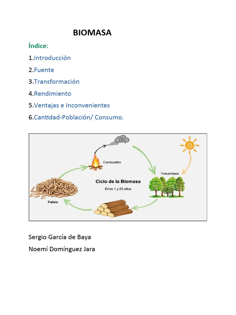 LA BIOMASA Trabajo Completado | PDF | Biomasa | Naturaleza